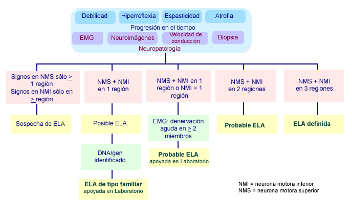 Esclerosis Lateral Amiotrofica: Esclerosis Lateral Amiotrofica